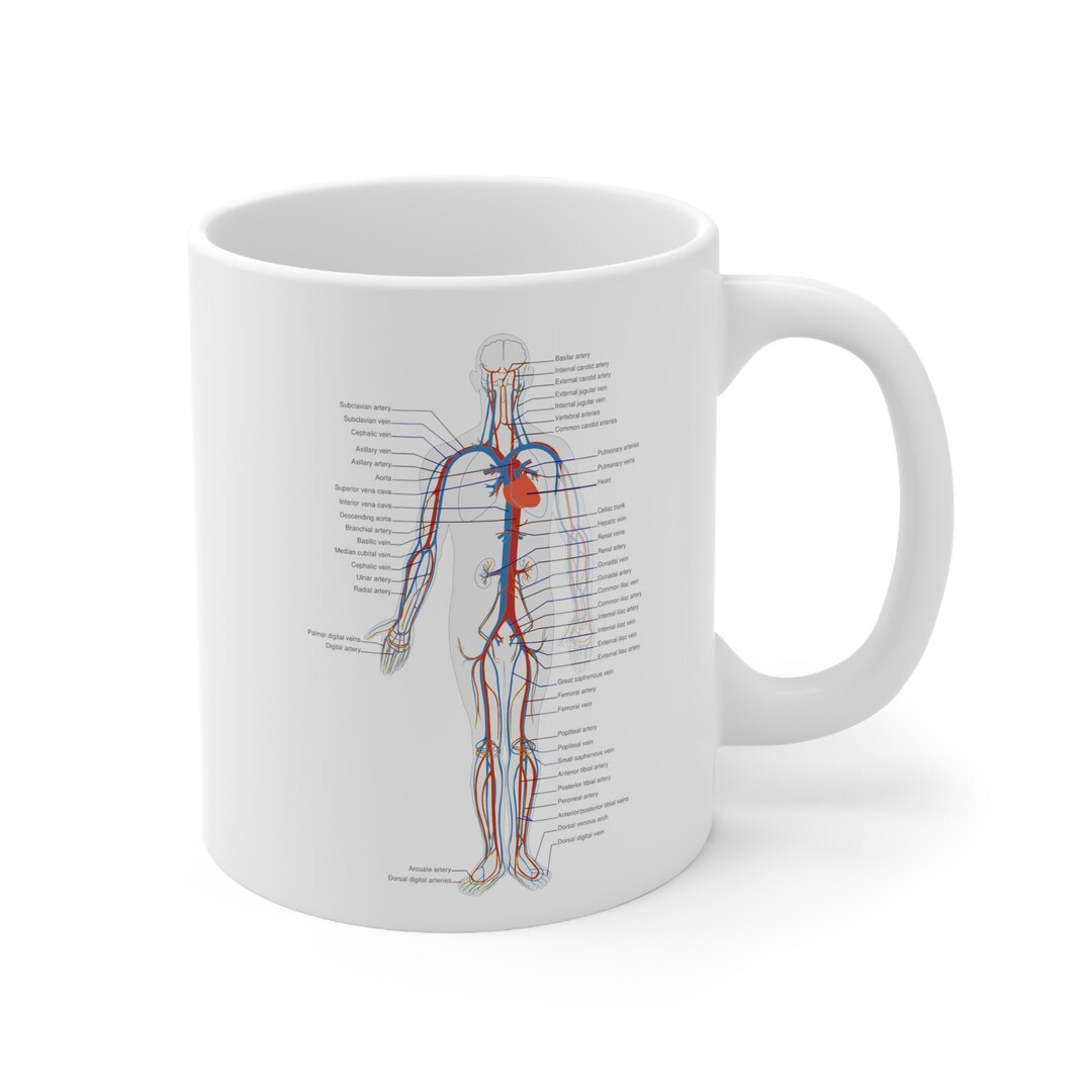 Doctor Gift Mug, Nurse Coffee Mug, Medical Mug, Circulatory System Mug ...