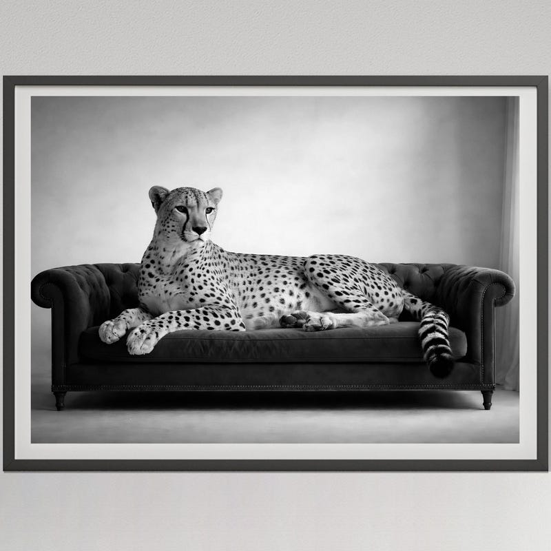 Cheetah Couch - Etsy