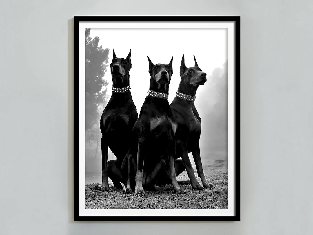 Doberman Pinscher Print Luxury Fashion Poster Doberman Wall - Etsy