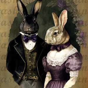 Rabbit Couple in Fancy Clothing, Well-dressed Rabbit, Elegant Bunny ...
