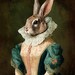 Lady Rabbit in Fancy Clothing, Well-dressed Rabbit, Elegant Bunny, Cute ...