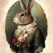 Lady Rabbit in Fancy Clothing, Well-dressed Rabbit, Elegant Bunny, Cute ...