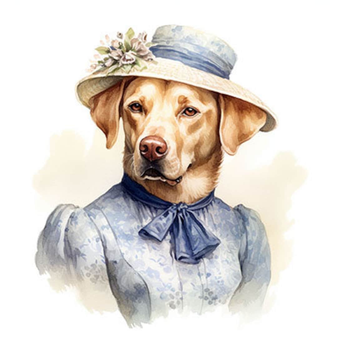 Labrador Retriever in Fancy Clothing, Well-dressed Yellow Lab Pet Dog ...