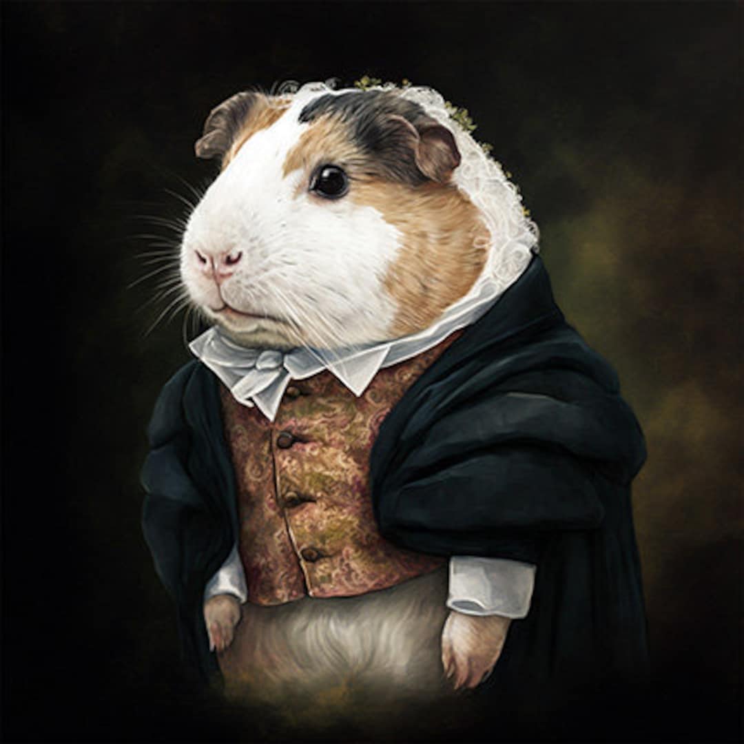 Guinea Pig in Fancy Clothing, Well-dressed Cavy, Elegant Guinea Pigs ...