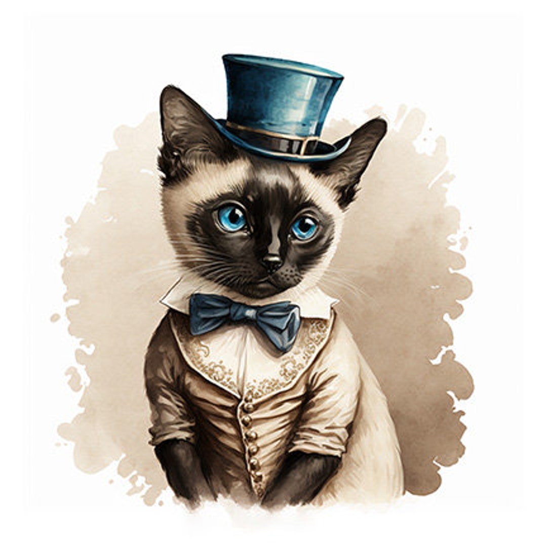 Gato siamés en ropa elegante, Gatito bien vestido, Gato elegante ...