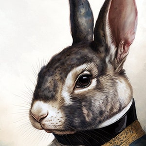Rabbit in Fancy Clothing, Well-dressed Rabbit, Elegant Bunny, Cute ...