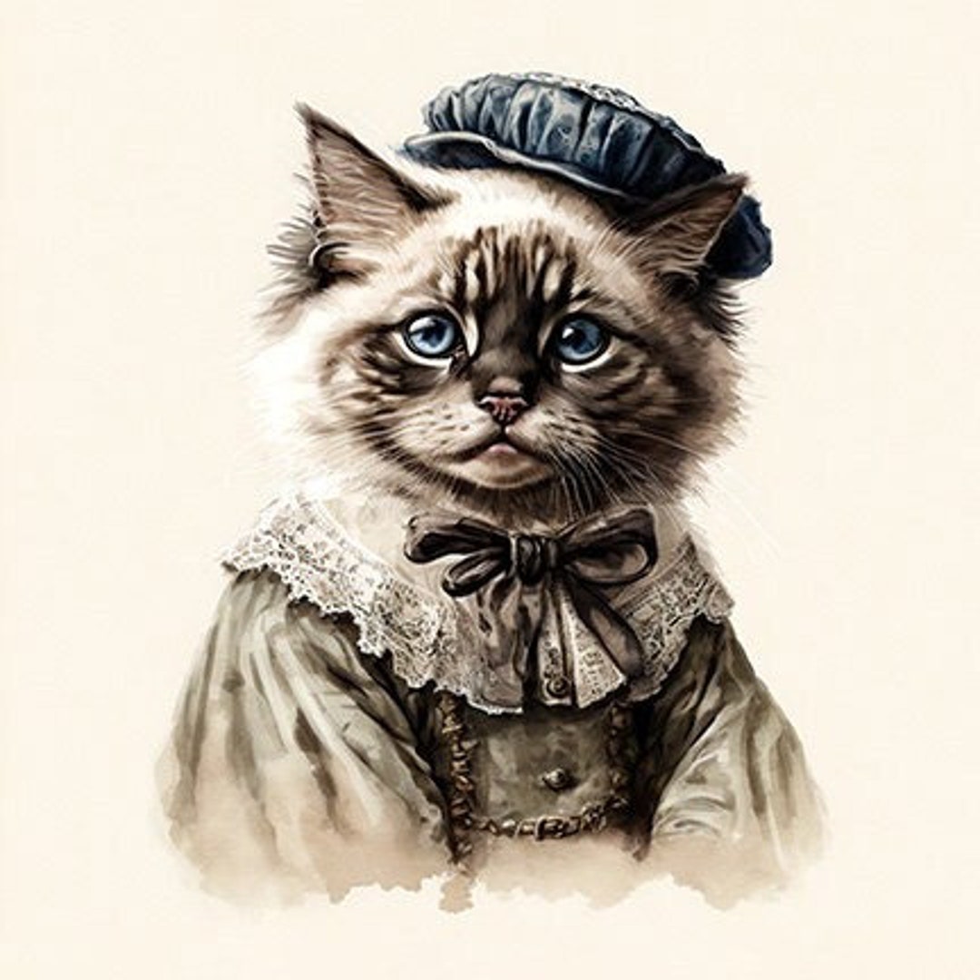 Ragdoll Cat in Fancy Clothing, Well-dressed Kitten, Elegant Cat, Cute ...