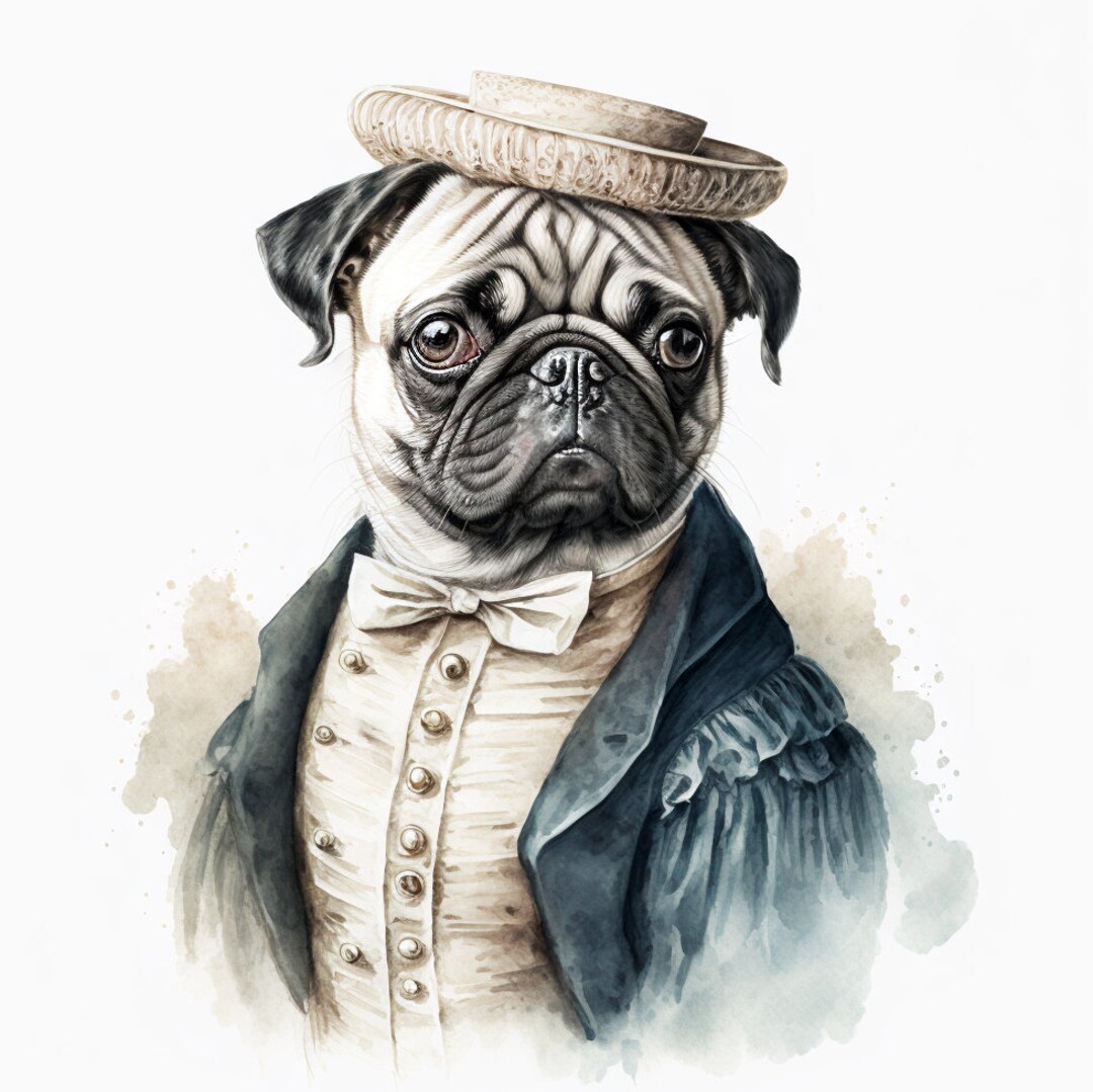Pug Dog in Fancy Clothing, Well-dressed Pet Dog, Elegant K-9, Cute ...