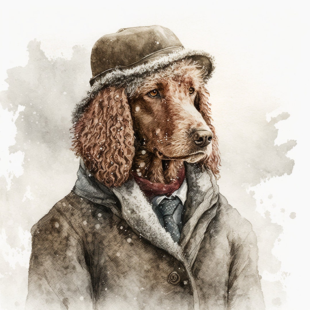 Brown Poodle Dog in Fancy Clothing, Well-dressed Pet Dog, Elegant K-9 ...