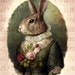 Lady Rabbit in Fancy Clothing, Well-dressed Rabbit, Elegant Bunny, Cute ...