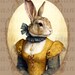 Lady Rabbit in Fancy Clothing, Well-dressed Rabbit, Elegant Gentlewoman ...
