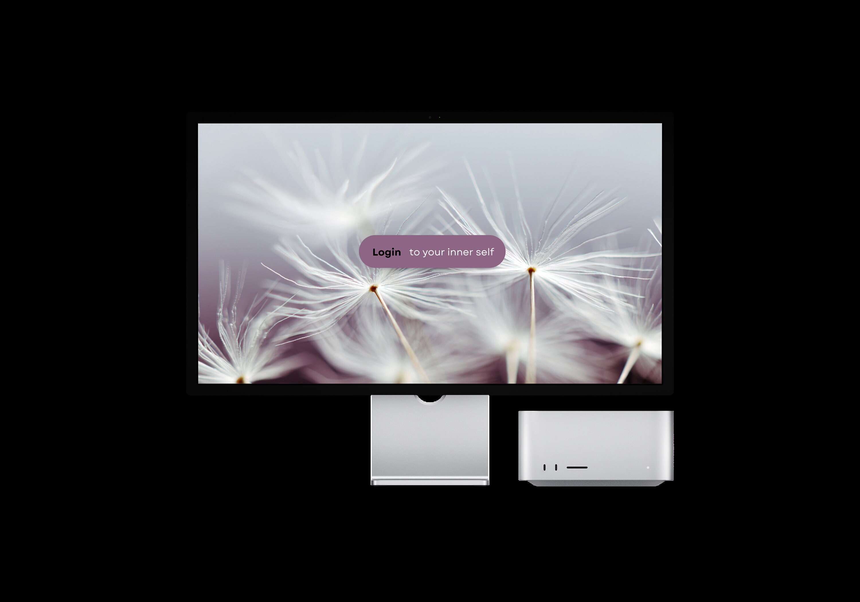 Desktop Wallpaper Computer Screen Saver Grey Dandelion Photographic - Etsy
