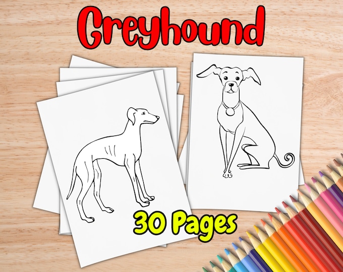 Greyhound Dog Colouring in Sheet 2 - Etsy Canada