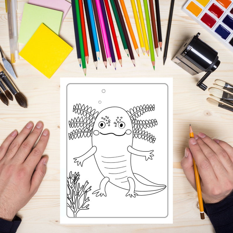 Axolotl Coloring Pages for Kids Ages 4-12 | Printable Coloring Book ...