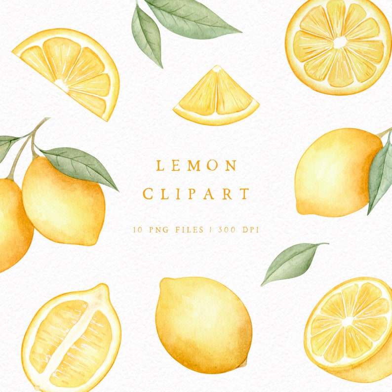 Watercolor Lemons Clipart Set, Hand-painted Lemon PNG, Fruit Clipart ...