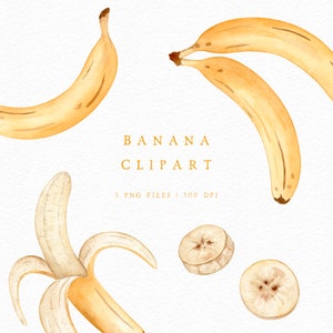 Watercolour Banana PNG, Bananas Clipart Set, Fruit Clipart for Personal ...