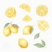 Watercolor Lemons Clipart Set, Hand-painted Lemon PNG, Fruit Clipart ...