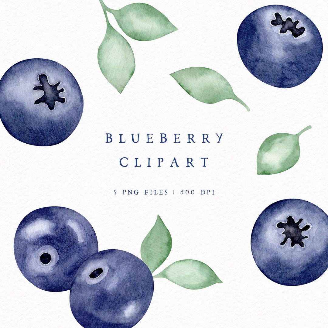 Watercolor Blueberries Clipart Set | Watercolour Blueberry PNG | Hand ...