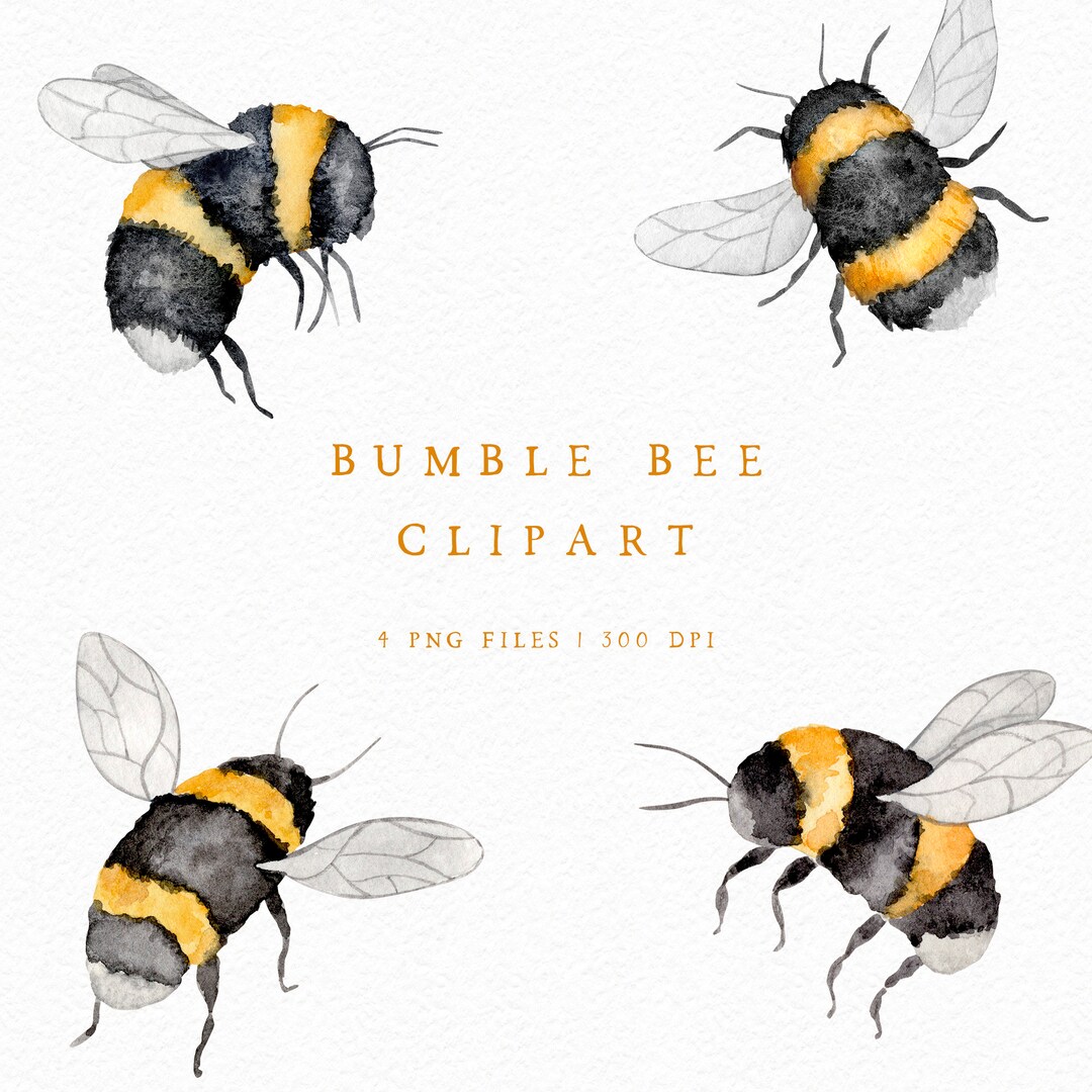 Watercolour Bumble Bee PNG, Cute Bumble Bees Clipart Set for Personal ...