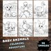 A Journey Through the Animal Kingdom Coloring Book - Etsy
