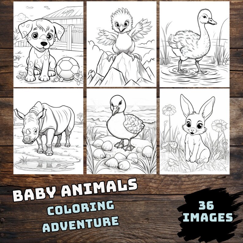 A Journey Through the Animal Kingdom Coloring Book - Etsy