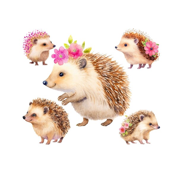 Happy Hedgehog - Etsy