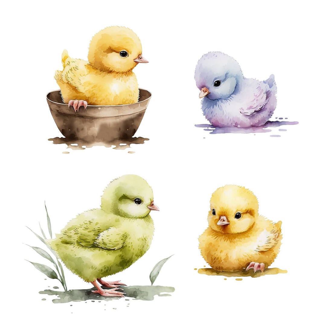 Chick Clipart Easter Cliparts Baby Chicks Clip Art Spring Birds - Etsy