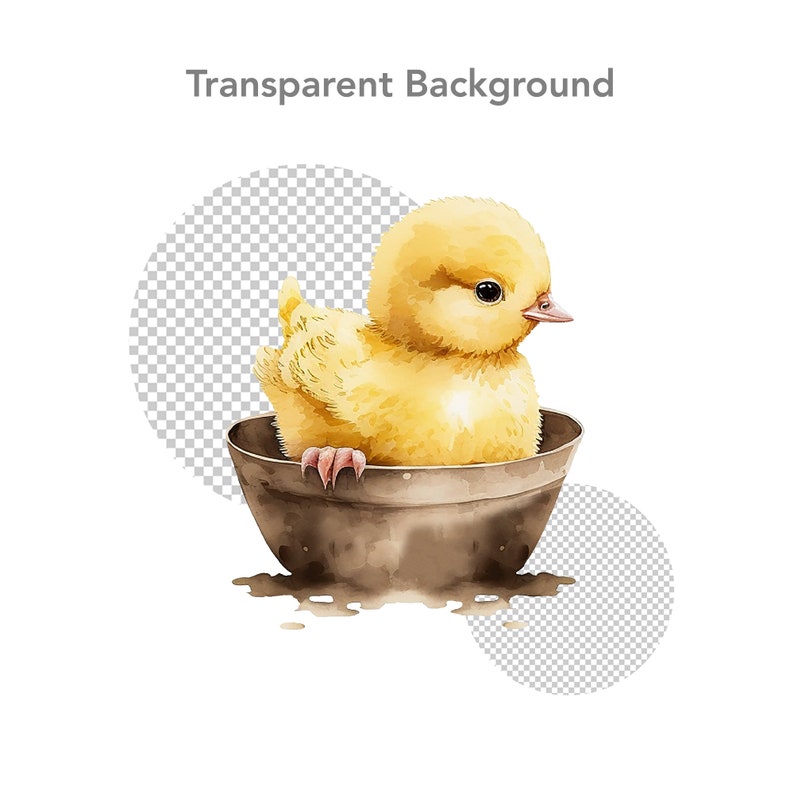 Chick Clipart Easter Cliparts Baby Chicks Clip Art Spring - Etsy