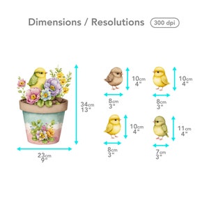 Cute Spring Decorative Flower Pot Birds Baby Chick Family Clipart ...