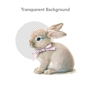 Easter Spring Cute Bunny Rabbit Watercolor Clipart Baby Shower Nursery ...