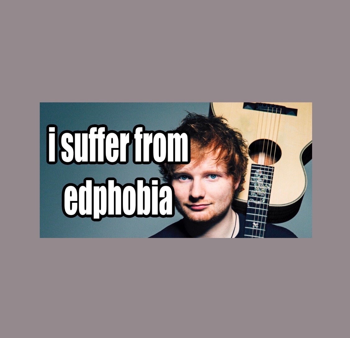 Ed Sheeran Bumper Sticker, Funny Ed Sheeran Bumper Sticker - Etsy
