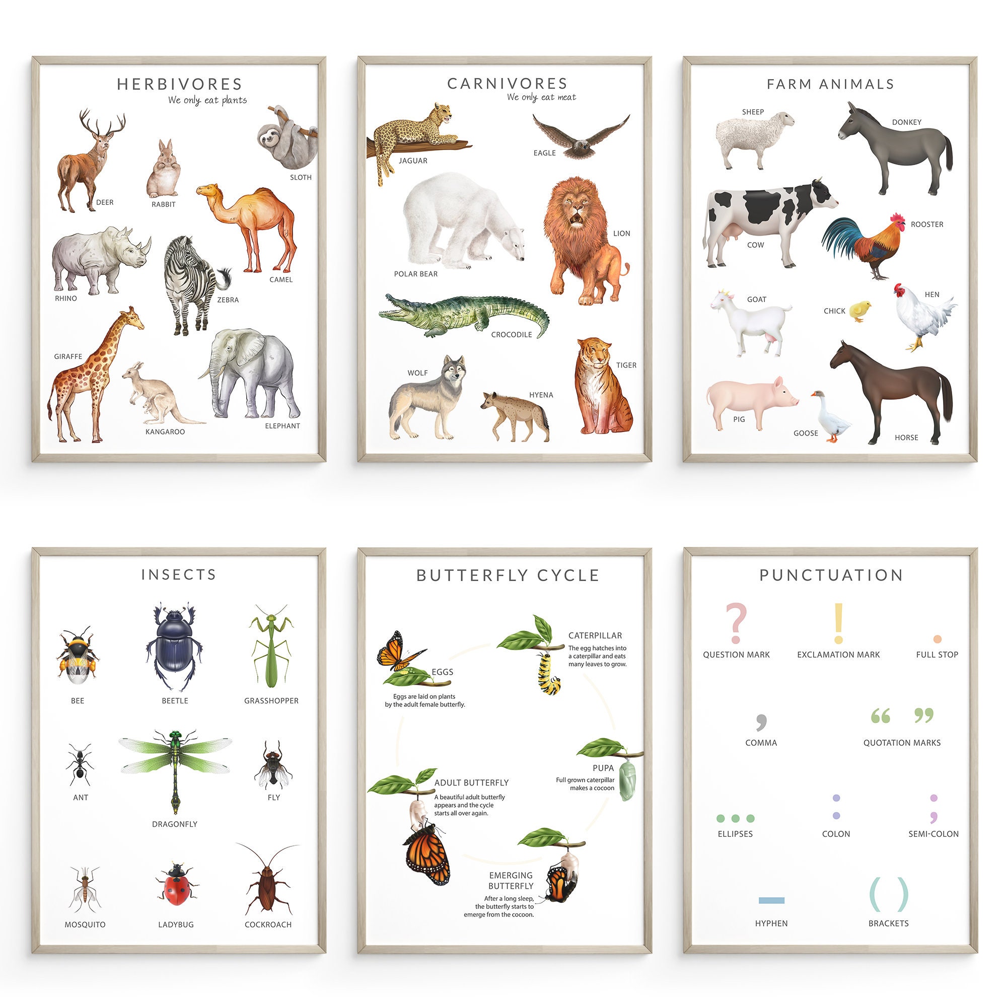 Educational Posters Set, Montessori Poster, Classroom Posters ...