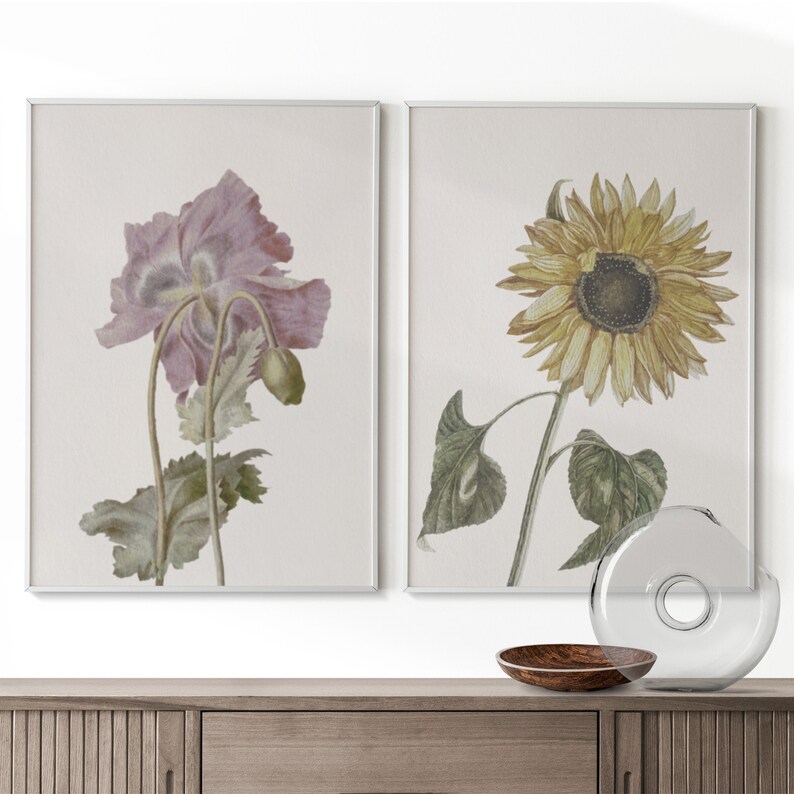 Vintage Botanical Art | Set of 6 | Printable Wall Art | Digital ...
