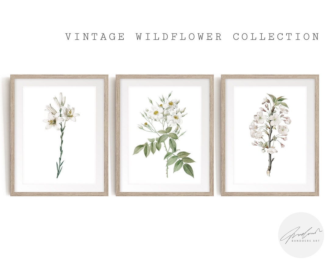 Vintage Botanical Gallery Wall Set of 6, Botanical Print Digital ...