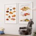 Educational Posters Set, Montessori Poster, Classroom Posters ...