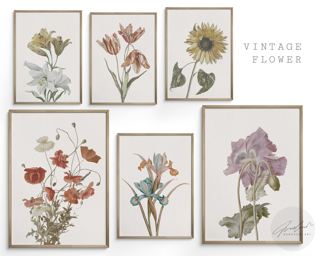 Vintage Botanical Art | Set of 6 | Printable Wall Art | Digital ...