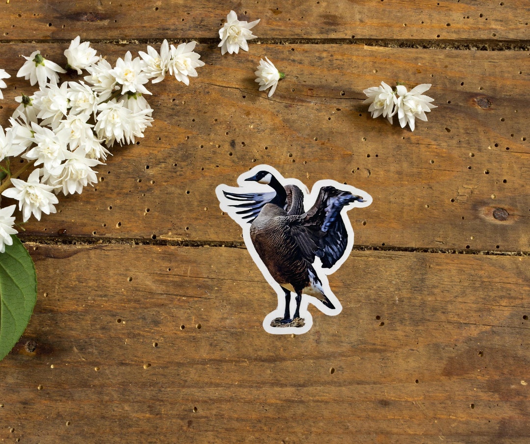 Canadian Goose Sticker, 3 Inch Glossy Die Cut Sticker, Photo Art ...