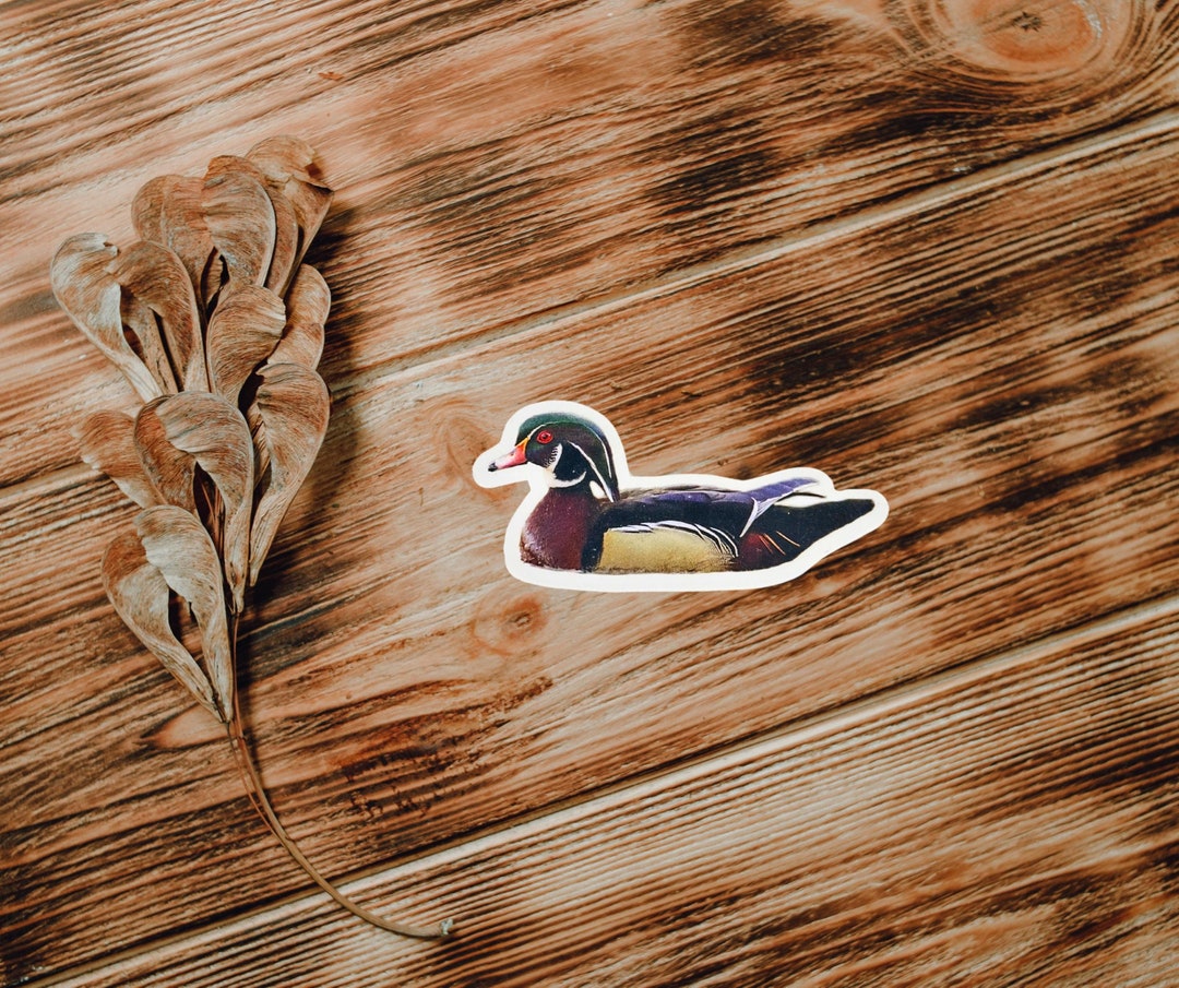 Wood Duck Sticker, 3 Inch Glossy Die Cut Sticker, Original Wildlife ...