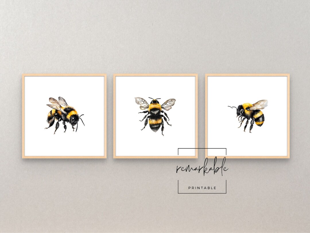 Bee Art Prints, Printable Set of 3, Watercolor Bumblebee Print, Bee ...
