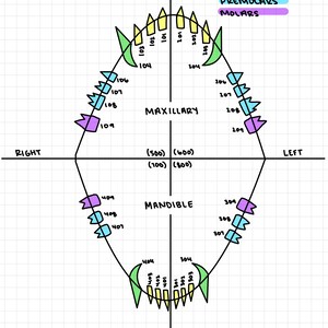 Veterinary Technician Nerd Book - Etsy