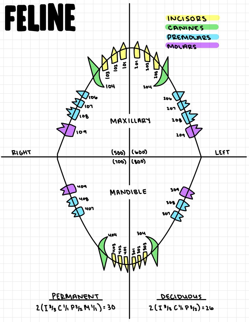 Veterinary Technician Nerd Book - Etsy
