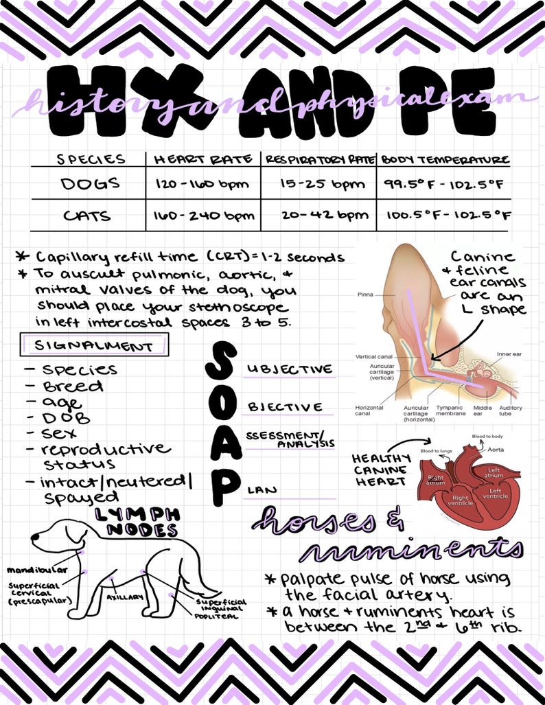 Veterinary Technician Nerd Book - Etsy