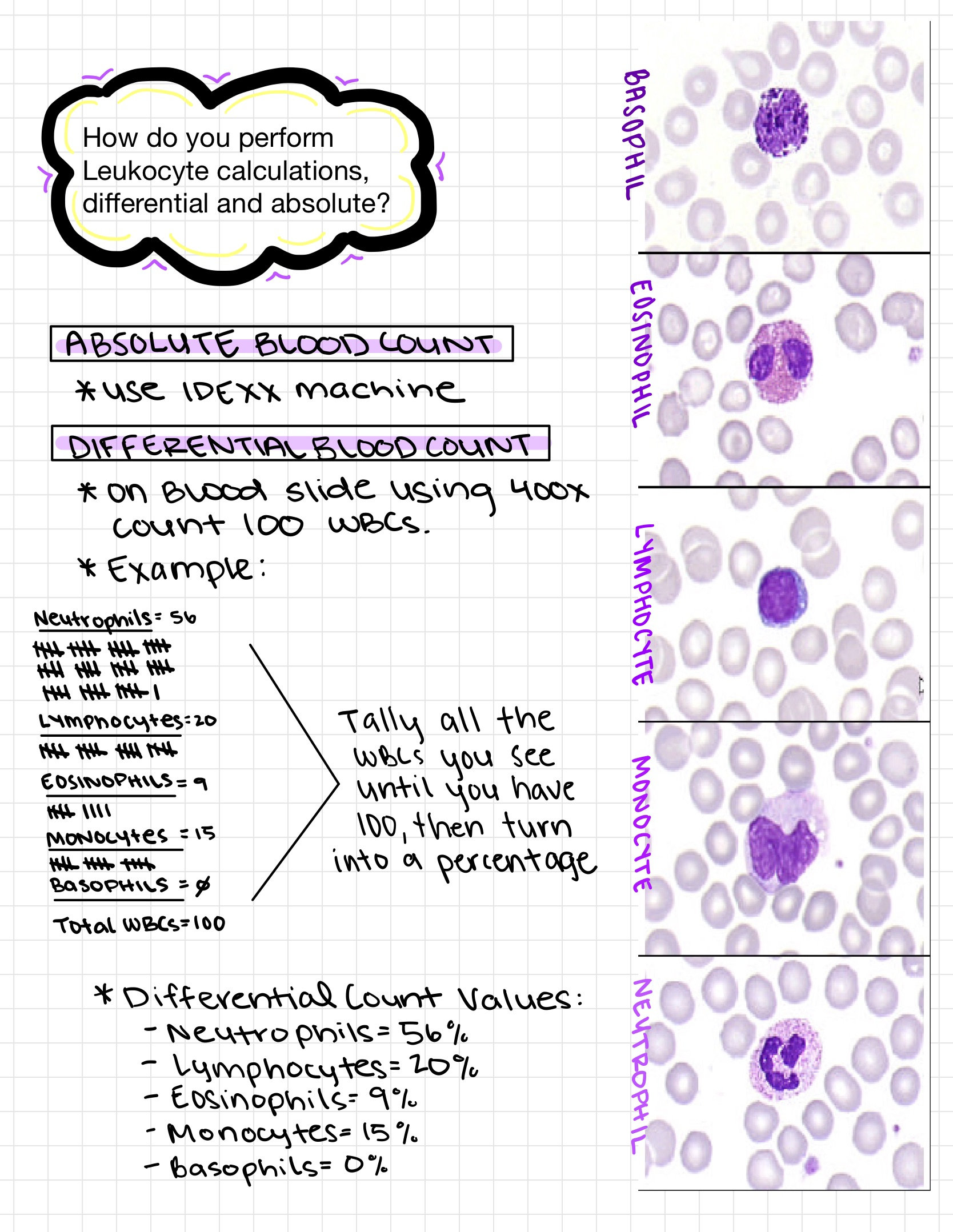 Veterinary Technician Nerd Book - Etsy