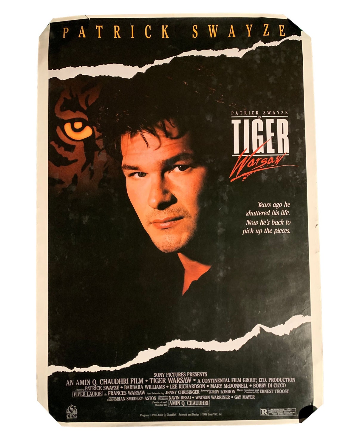 Tiger Vintage Poster - Etsy