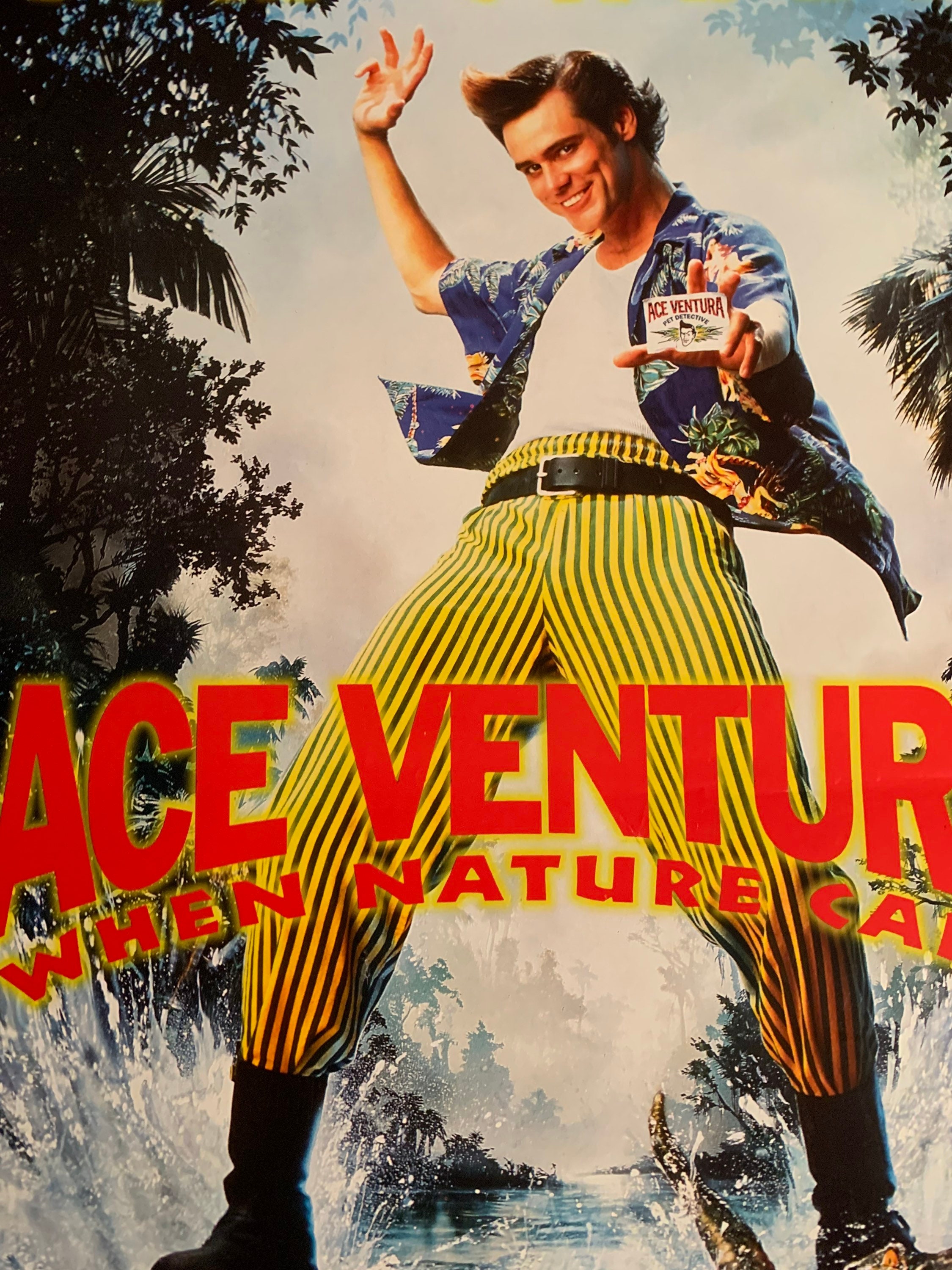 ACE VENTURA 1995 Vintage Movie Poster / Jim Carrey - Etsy