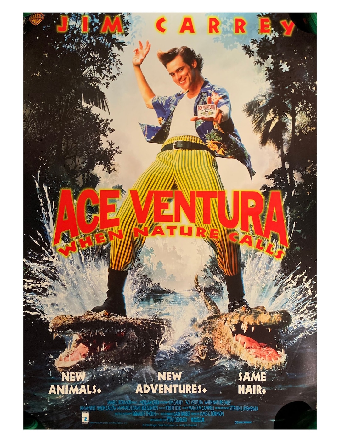 ACE VENTURA 1995 Vintage Movie Poster / Jim Carrey - Etsy