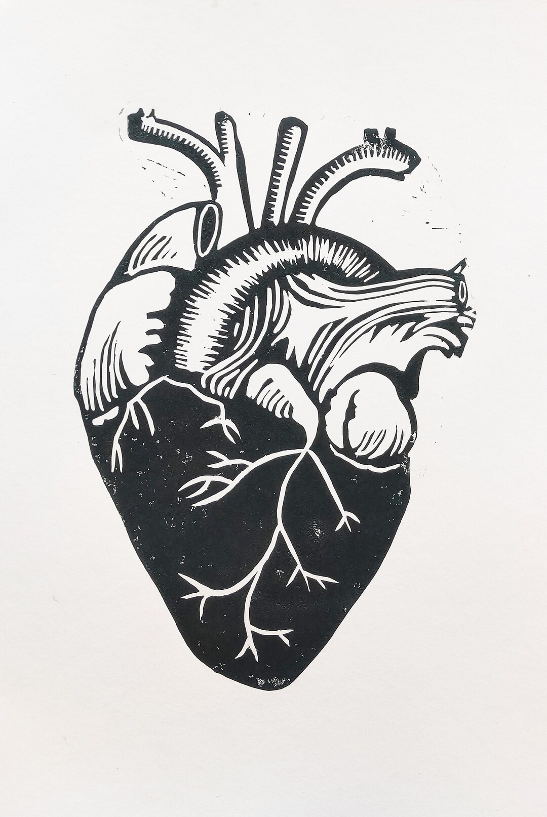 Heart Anatomy Linocut - Etsy
