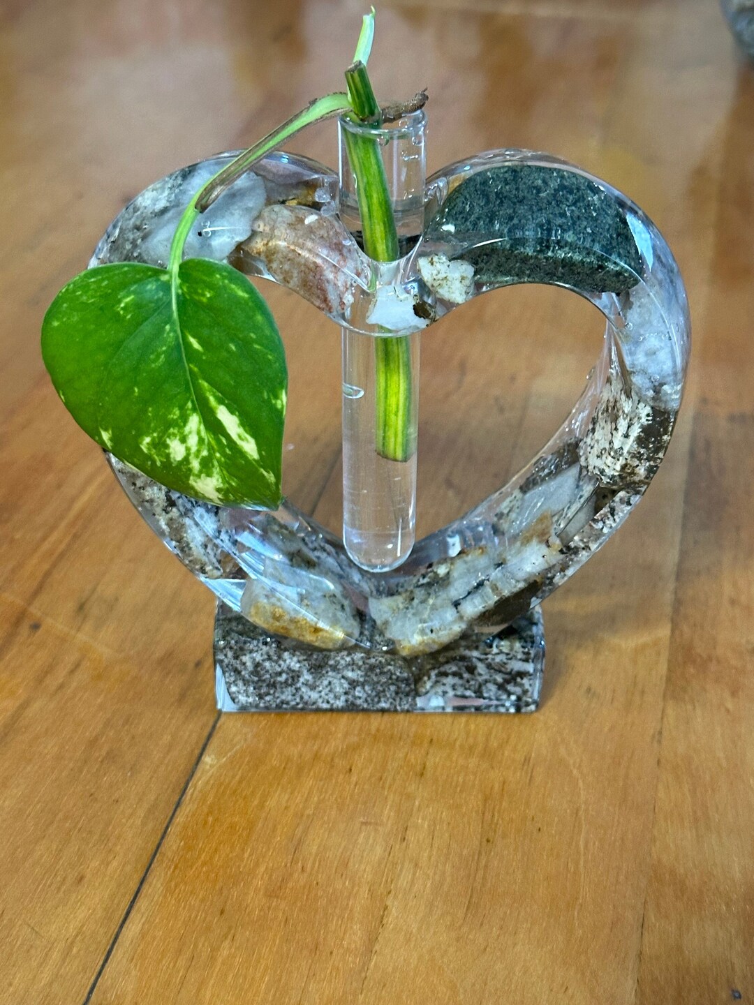 Hydroponic Heart Shaped Vase. Hand Made With Genuine Maine Rocks and ...