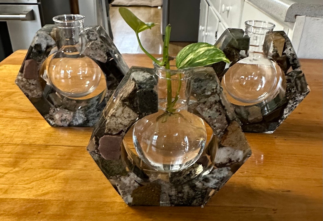 Plant Propagation Vase- Hexagon A Beautiful and Unique Way to Start ...