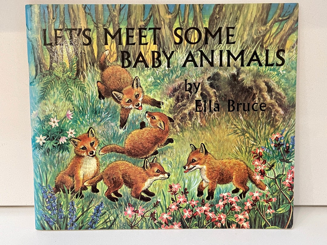 Let's Meet Some Bay Animals by Ella Bruce. A Beautiful Medici Children ...
